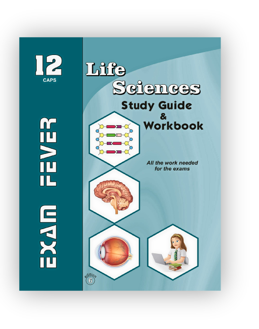 Home [examfever.co.za]